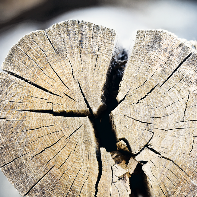 Our Industry Solutions - Fr. Meyer's Sohn (GmbH & Co.) KG